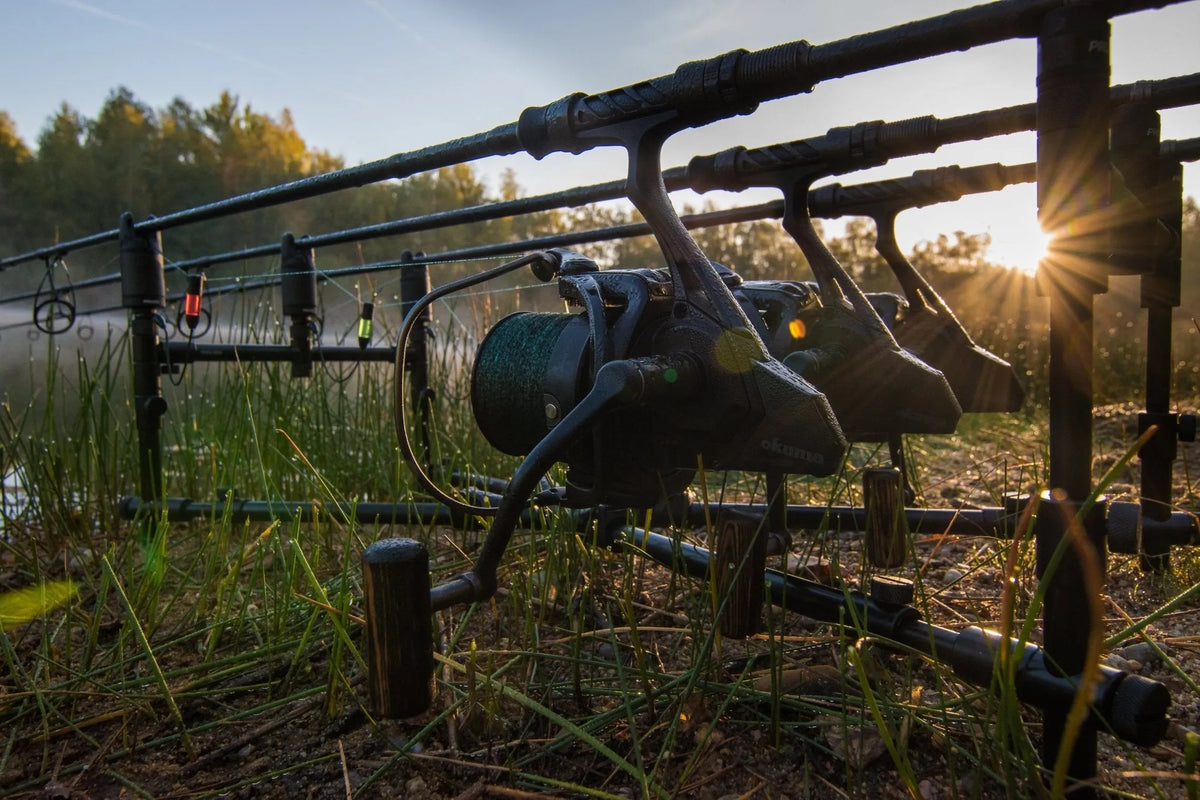Carp Rods: 8ft to 13ft, 3 Piece, Best Carp Fishing Rods — Reelfishing