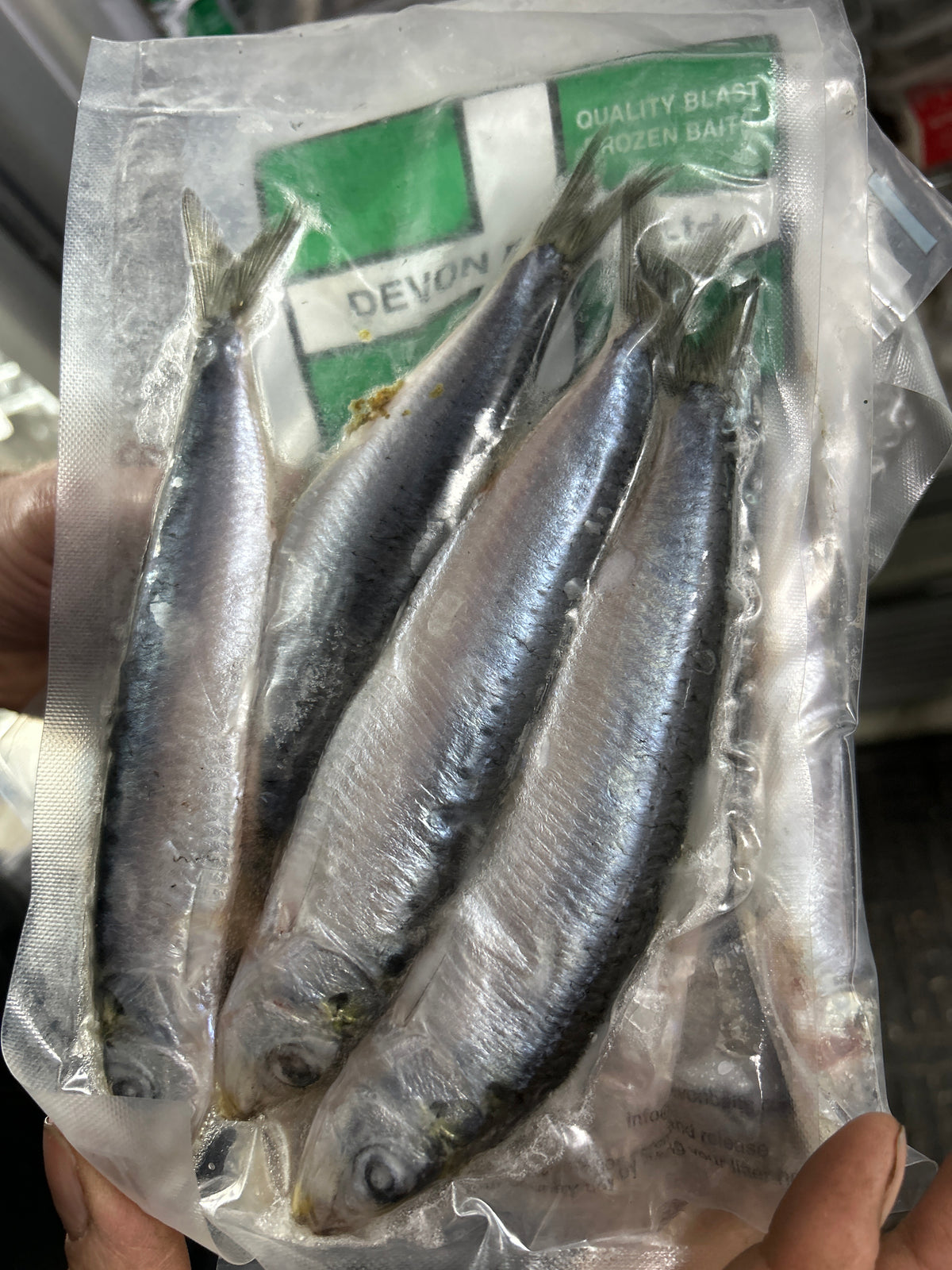 Devon Baits Sardine — Reelfishing