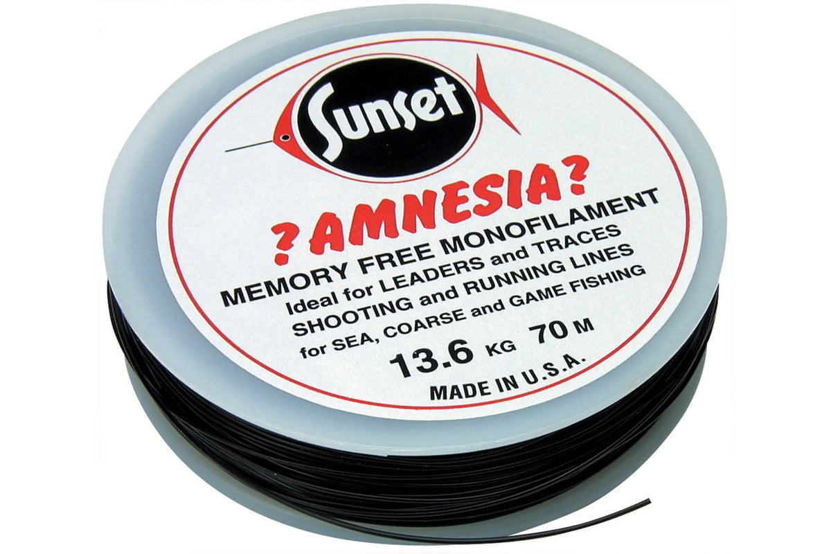 Amnesia Memory Free Black | Reelfishing