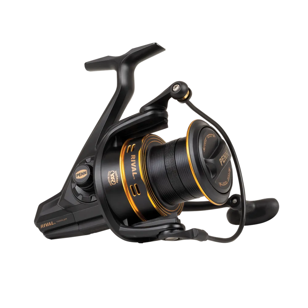 Penn Rival 6000 LC Gold | Reelfishing